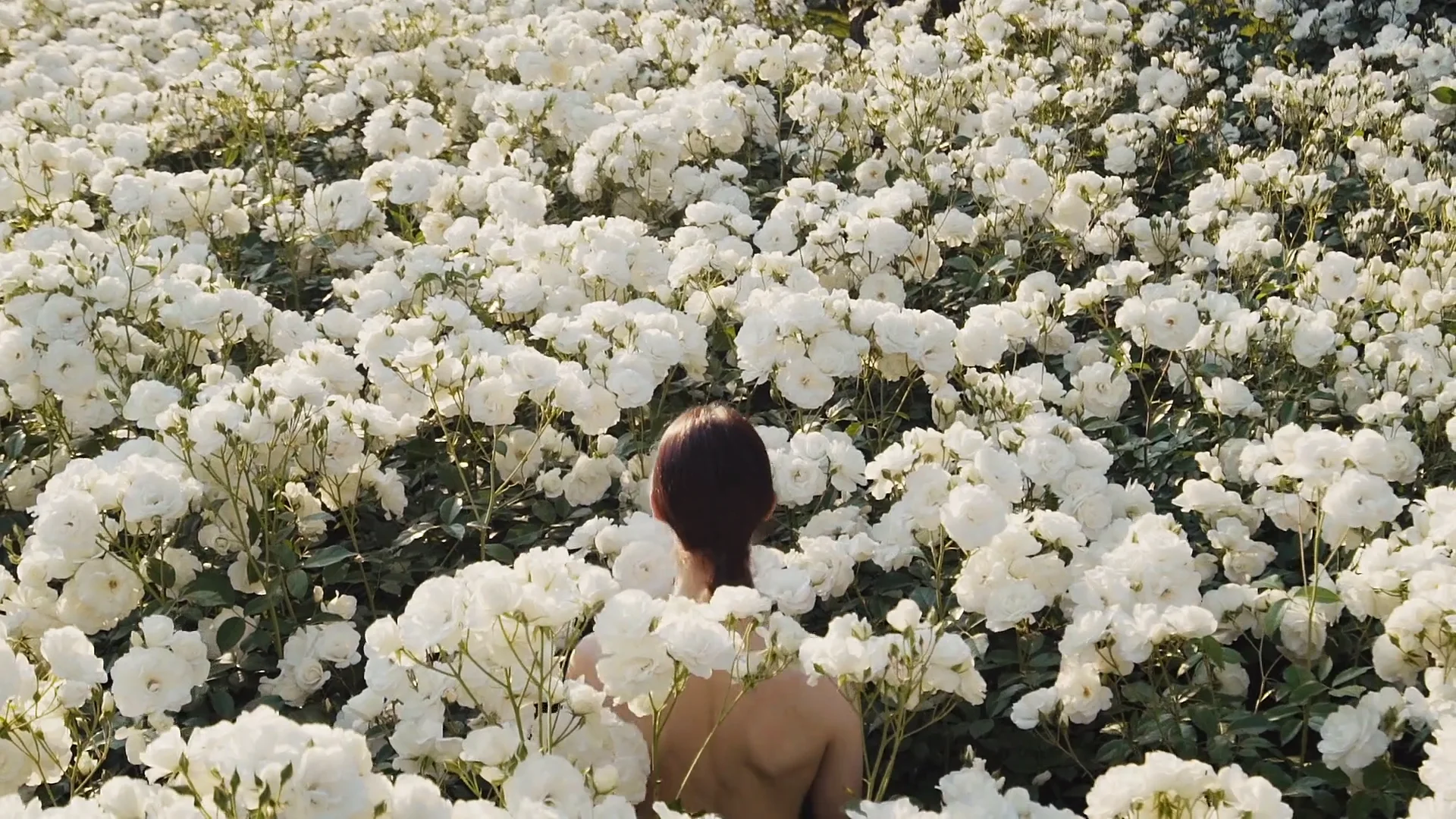 Wild Wild West on Vimeo