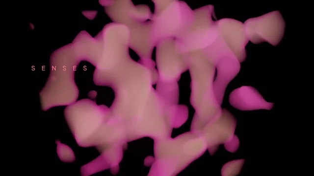 senses on Vimeo