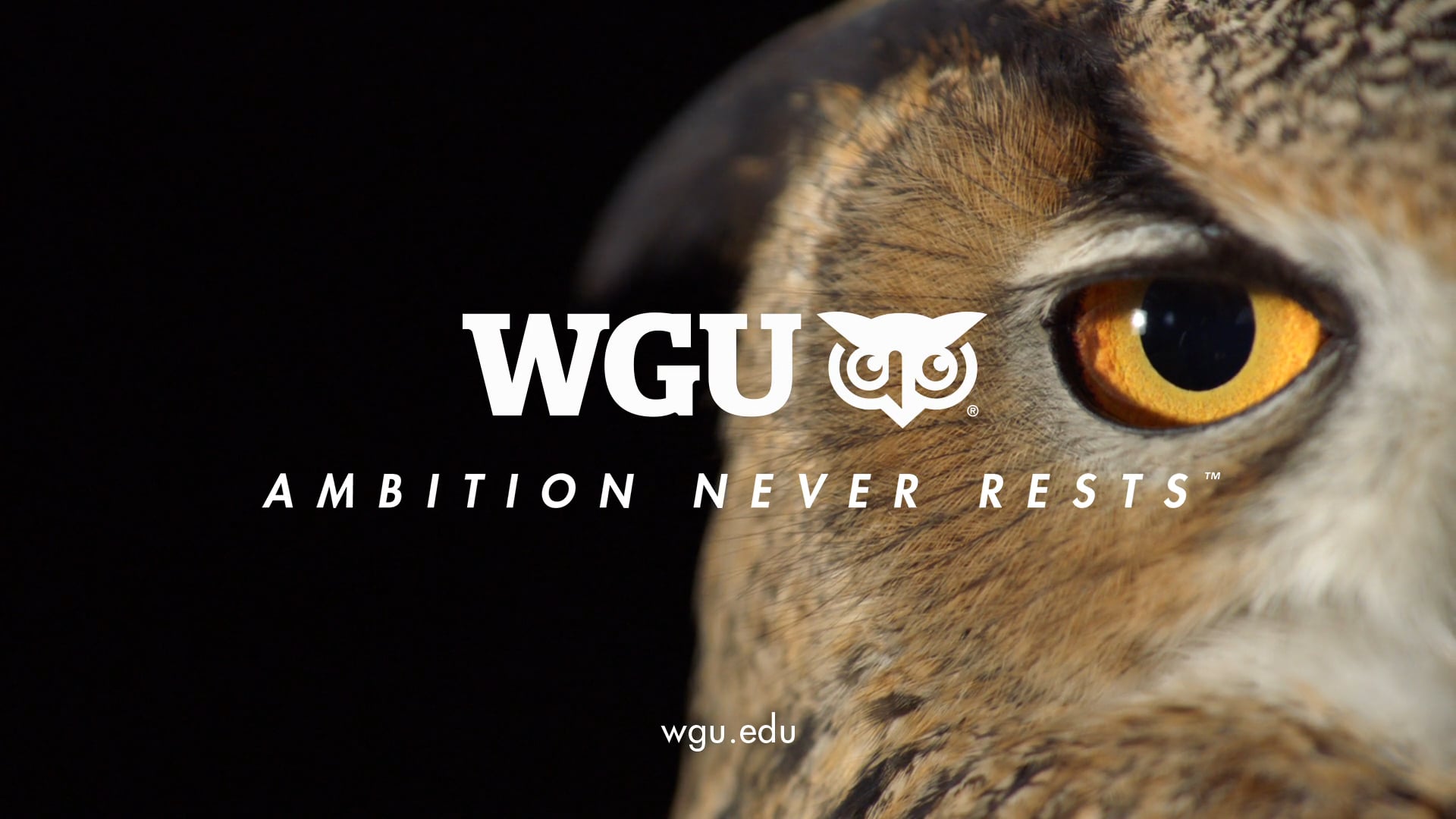 WGU "Different Breed" :15s on Vimeo