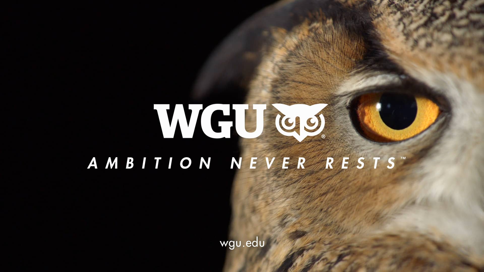 WGU "Different Breed" :15s on Vimeo