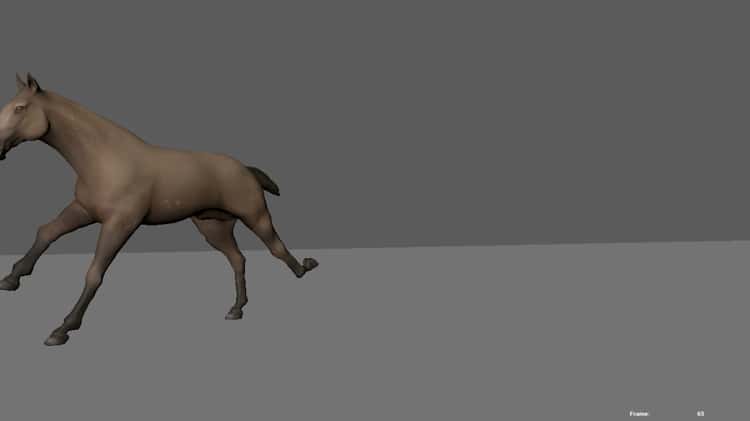Horse Running Animation Frames