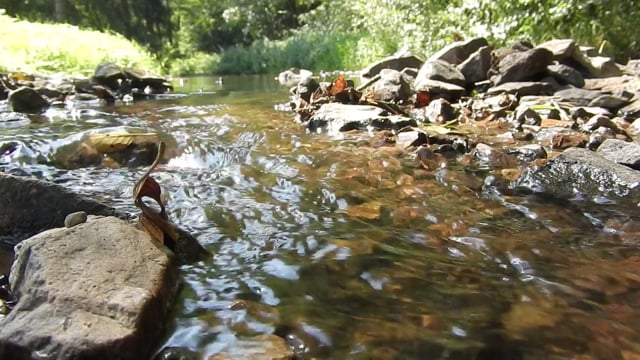 Running Water Stream