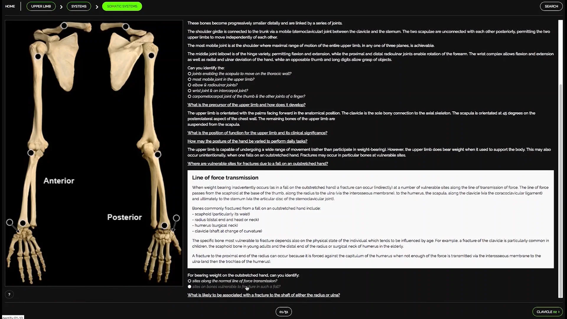anatomedia_ifaa_demo on Vimeo
