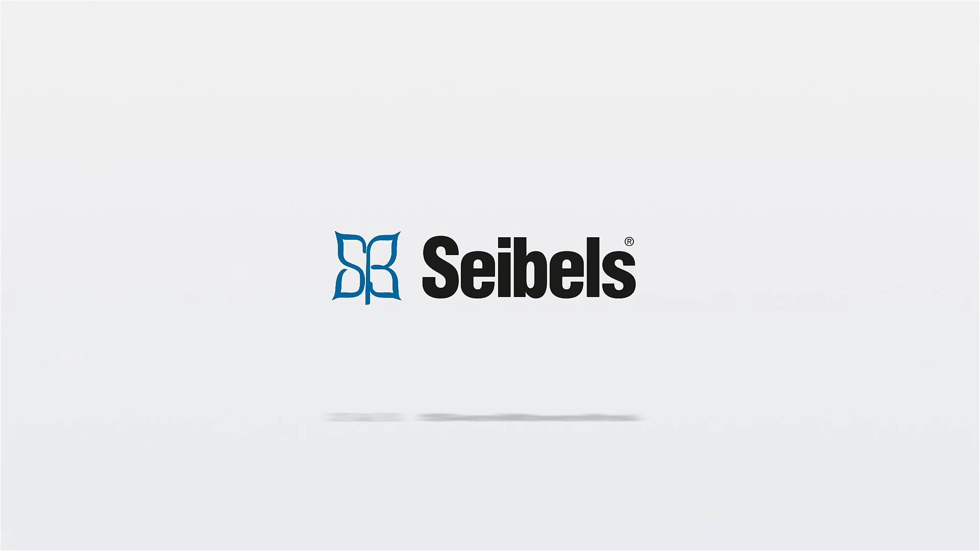 Seibels: Employee Testimonials on Vimeo