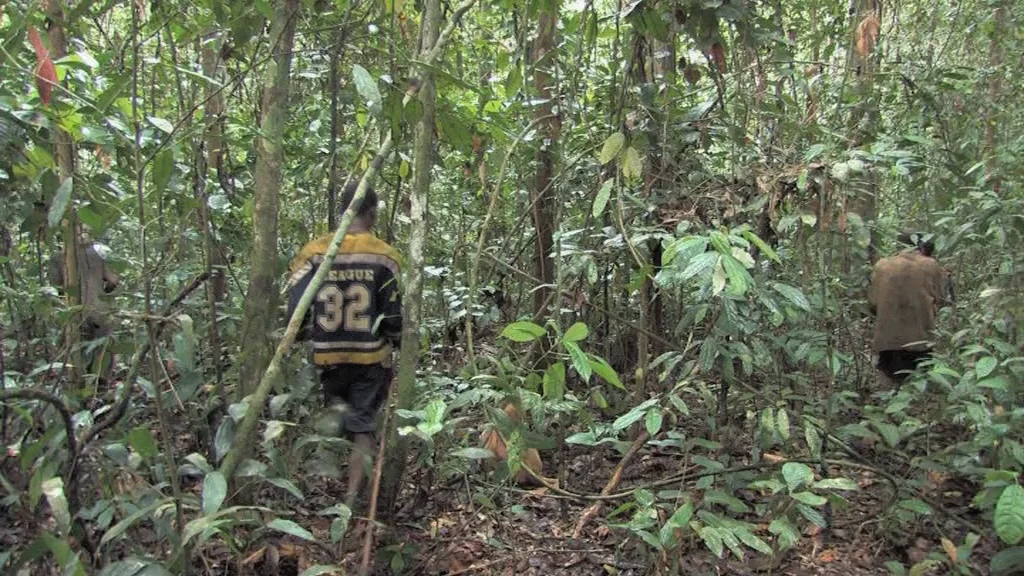 Film Bagyeli VF 56mn