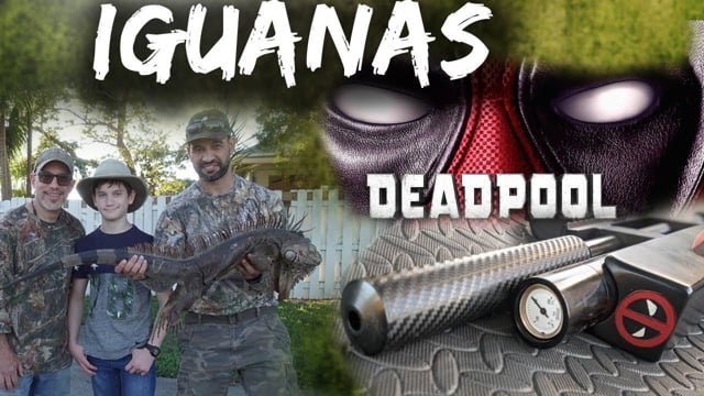 Iguanas DeadPool Airgun Hunting Orion the Iguana Hunter - Airgun101