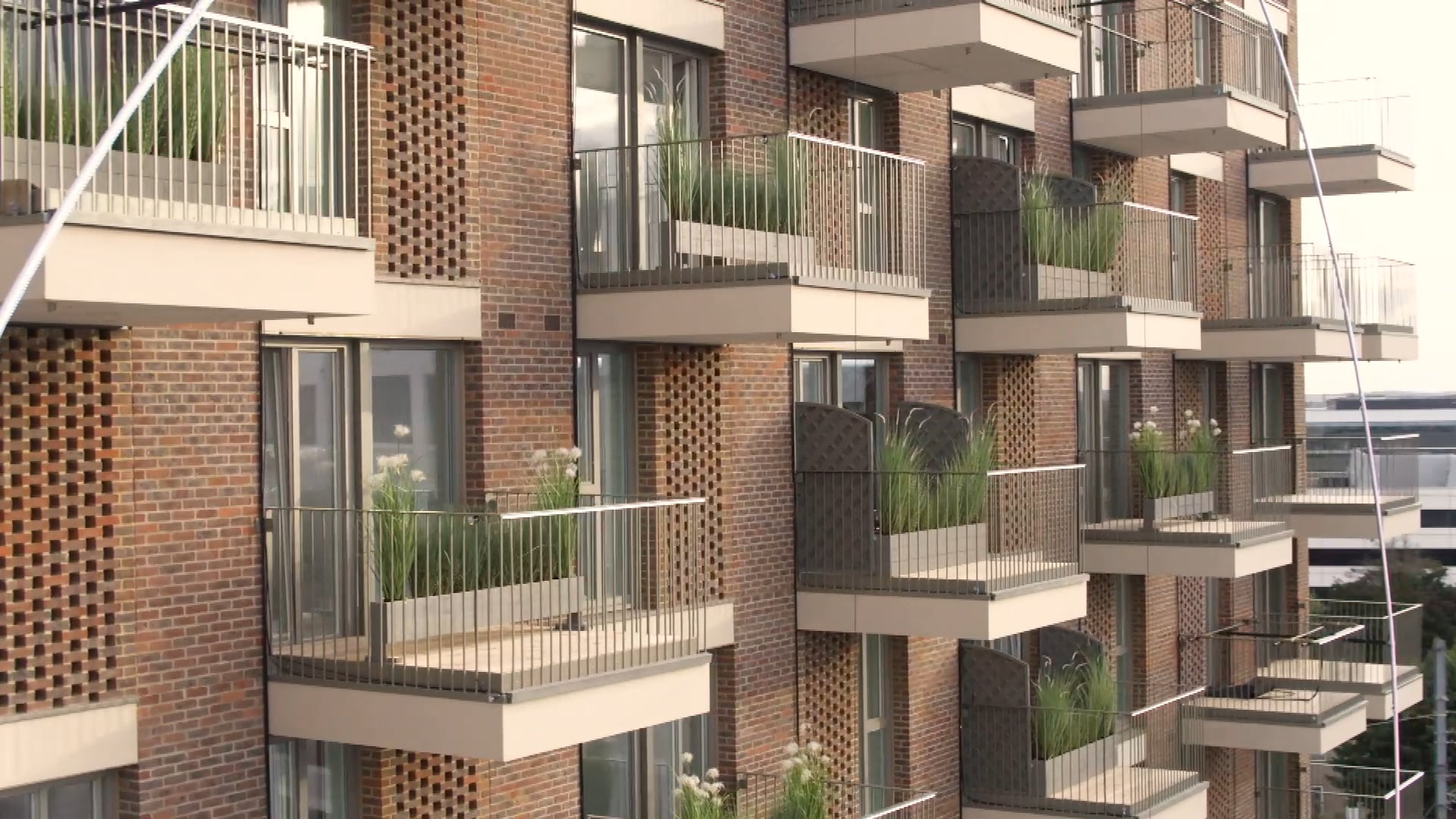 Fizzy Hayes on Vimeo