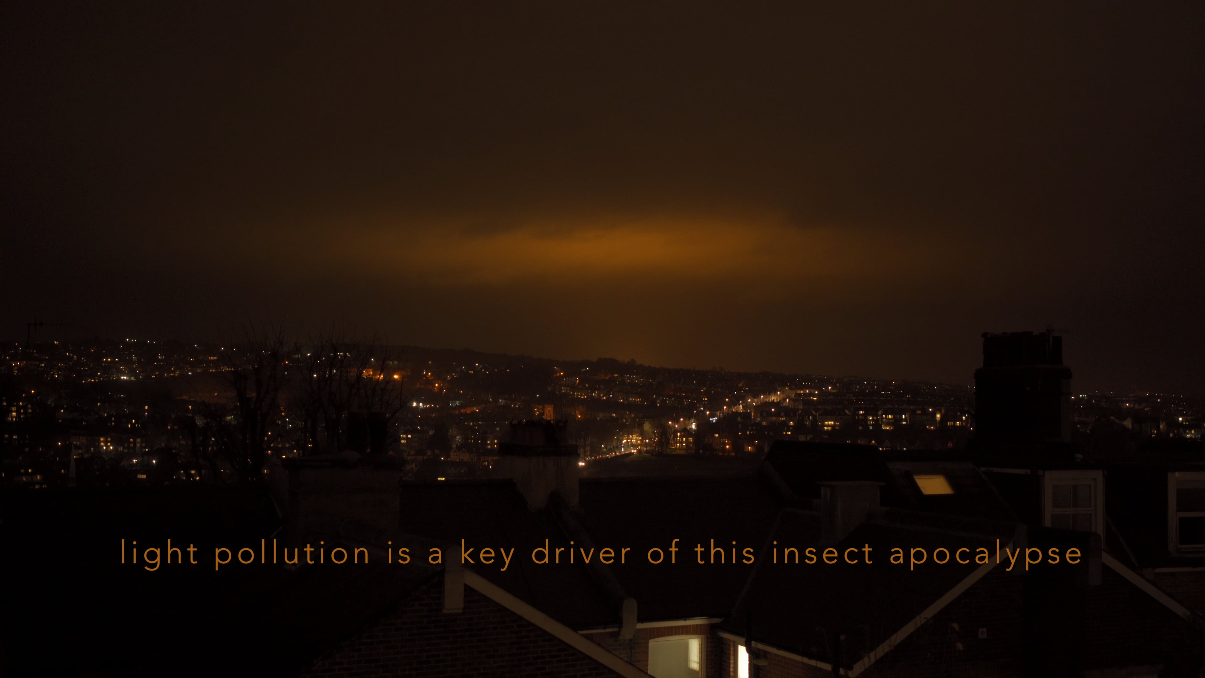 Put That Light Out on Vimeo