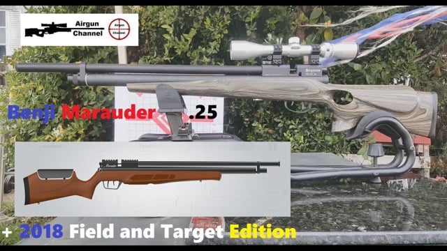 Benjamin Marauder .25 (+ 2018 Regulated Field and Target FT Edition) w ...