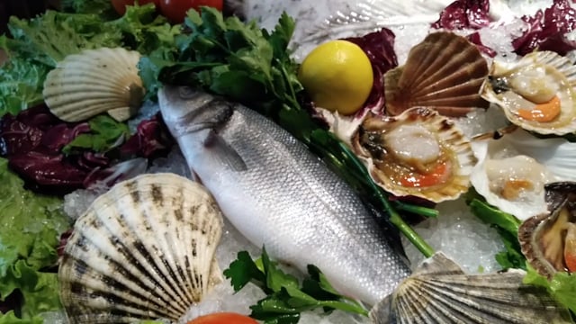 Pesce Venezia Mare - Free video on Pixabay - Pixabay