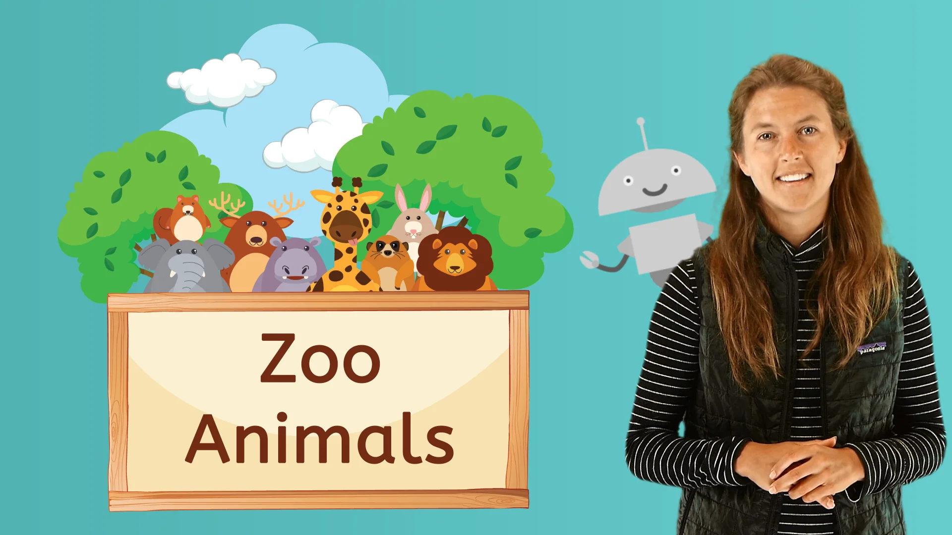 Zoo Animals