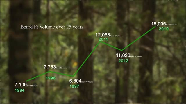 Forest Restoration explained in 3 minutes on Vimeo