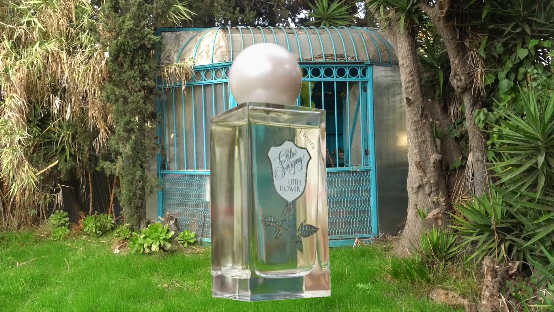 Charlotte Ercoli Reel on Vimeo