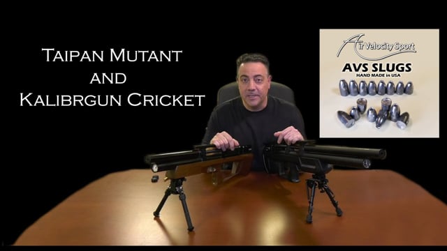 Taipan Mutant review & Kalibrgun Cricket comparison - AVS Slugs - Airgun101