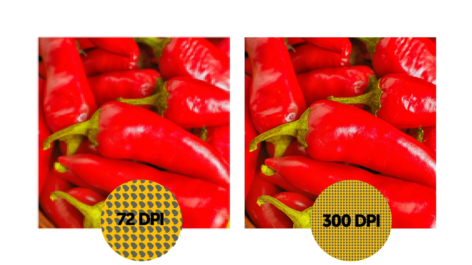 Helloprint Motion Graphics_What are the differences between vector and ...