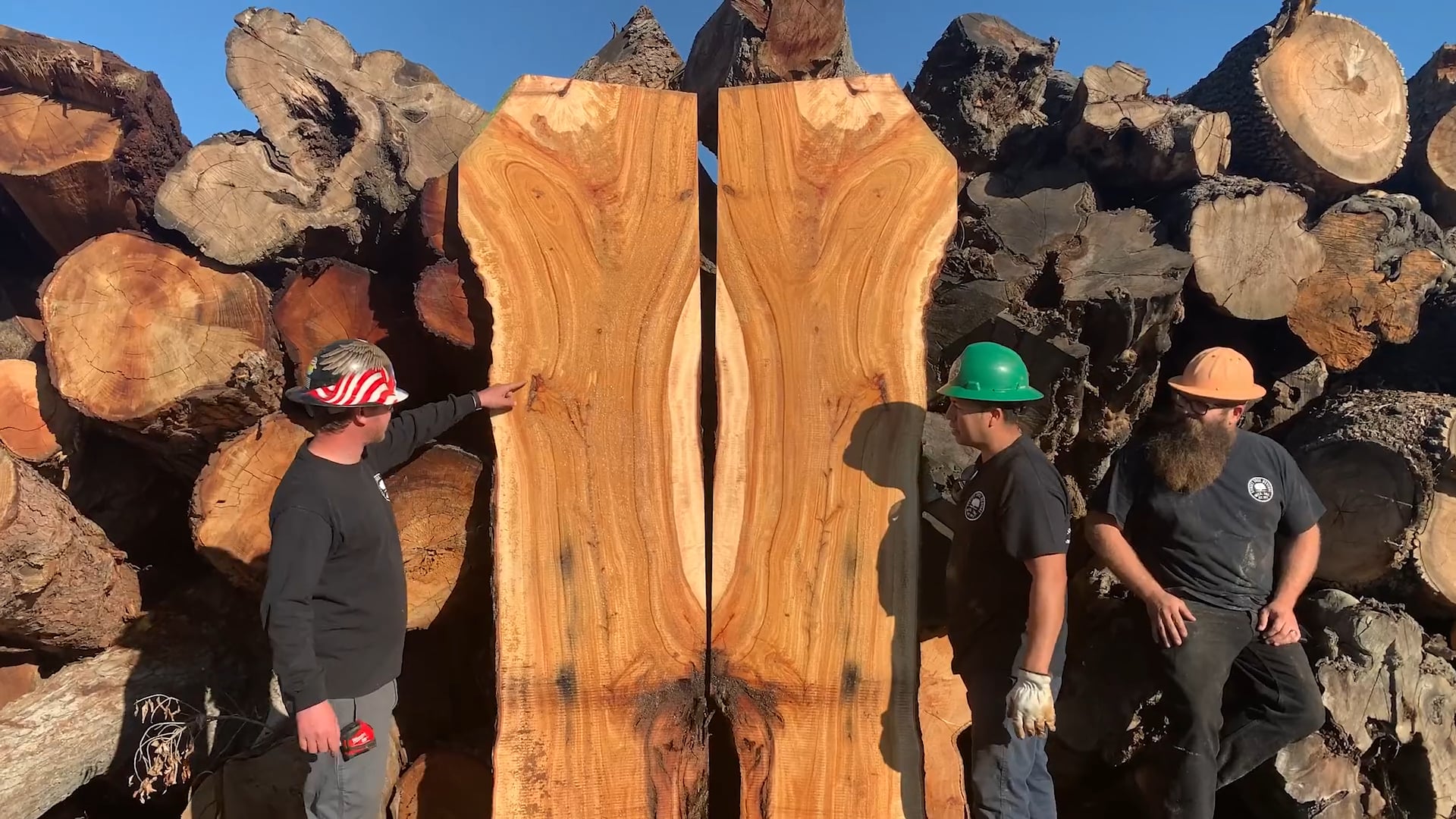 Street Tree Revival | West Coast Arborists, Inc. California on Vimeo