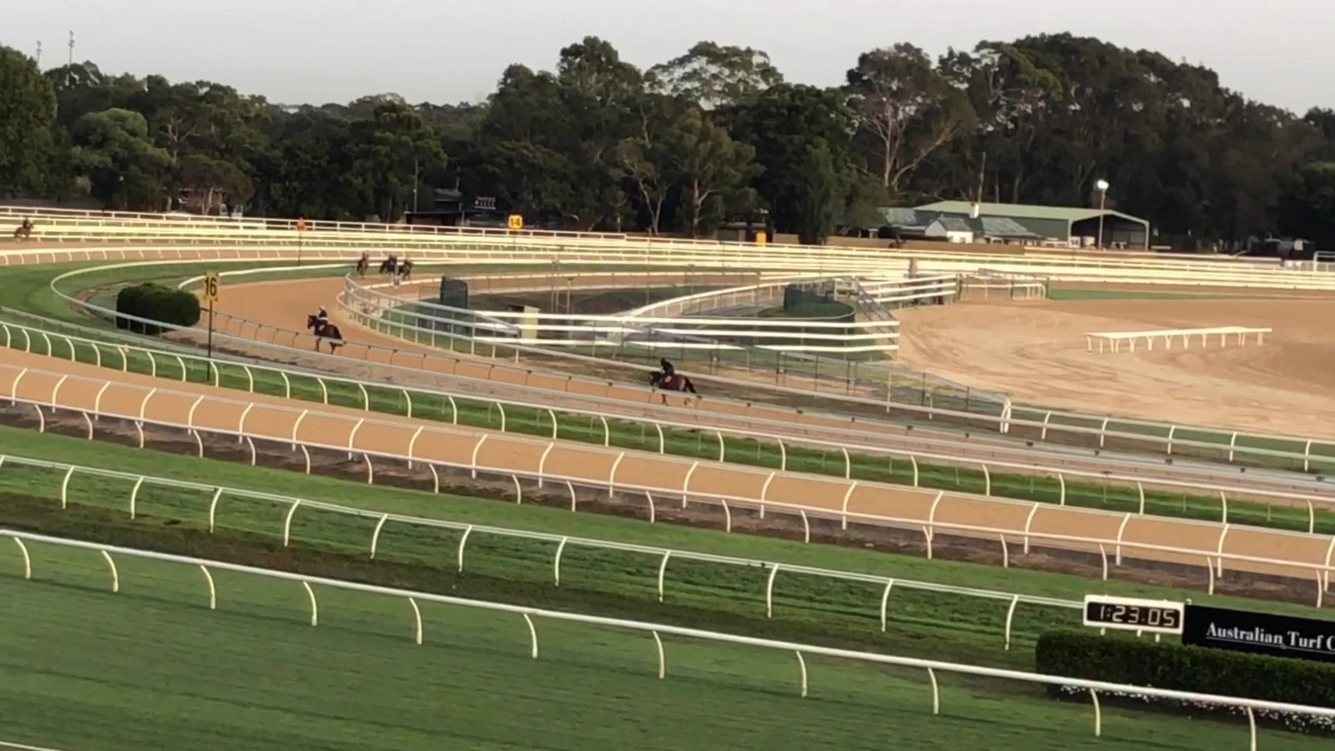 Troodles at Warwick Farm 22/1/20 on Vimeo