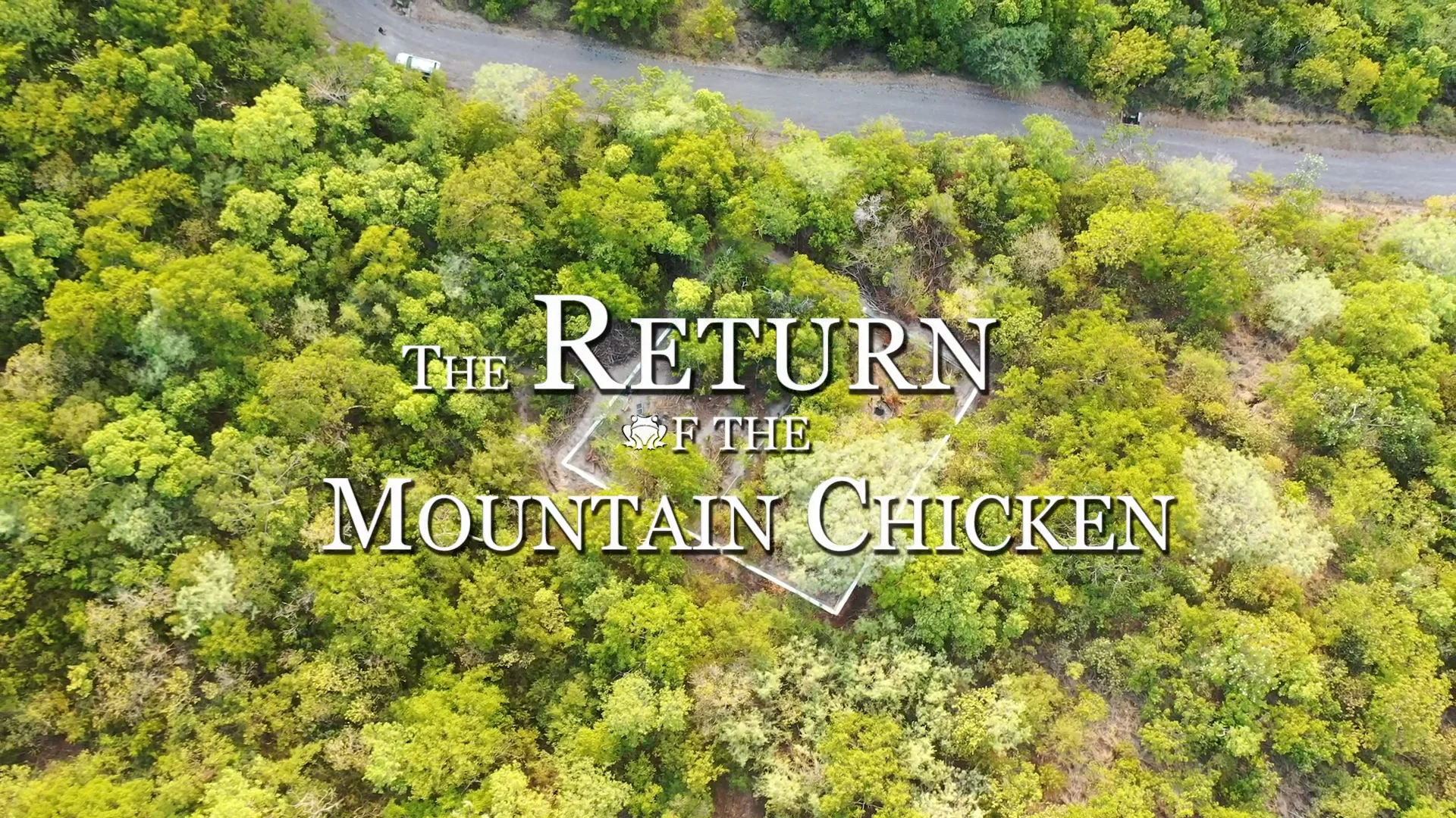 Trailer The Return of the Mountain Chicken on Vimeo