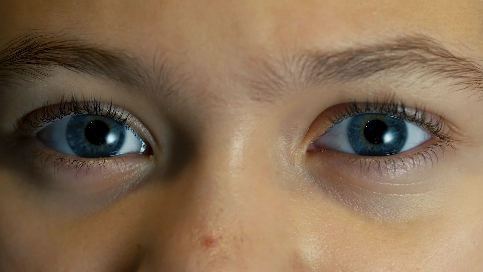 Eyes on Vimeo