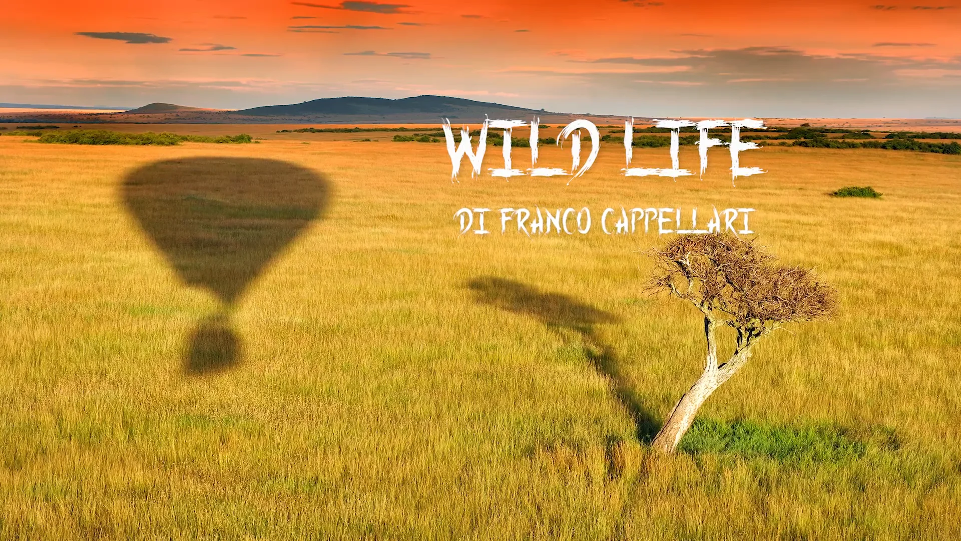 Wildlife on Vimeo
