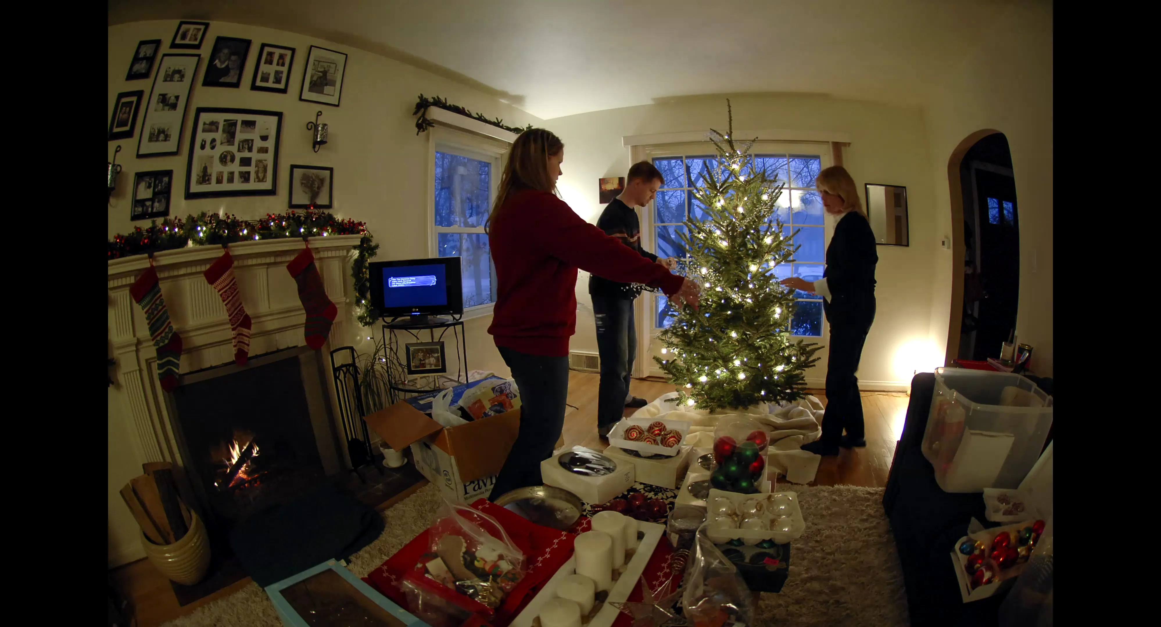 2007 Christmas Tree Video on Vimeo