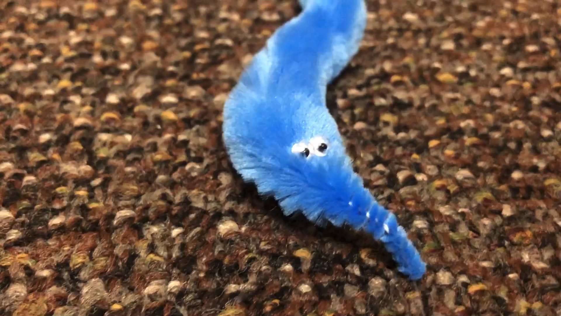 The great squirmel race on Vimeo