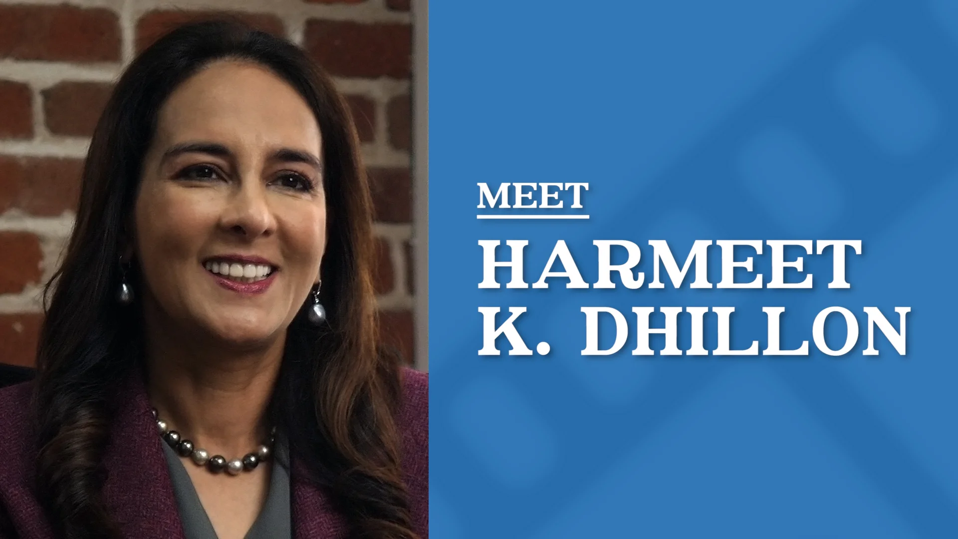 Meet Harmeet K. Dhillon