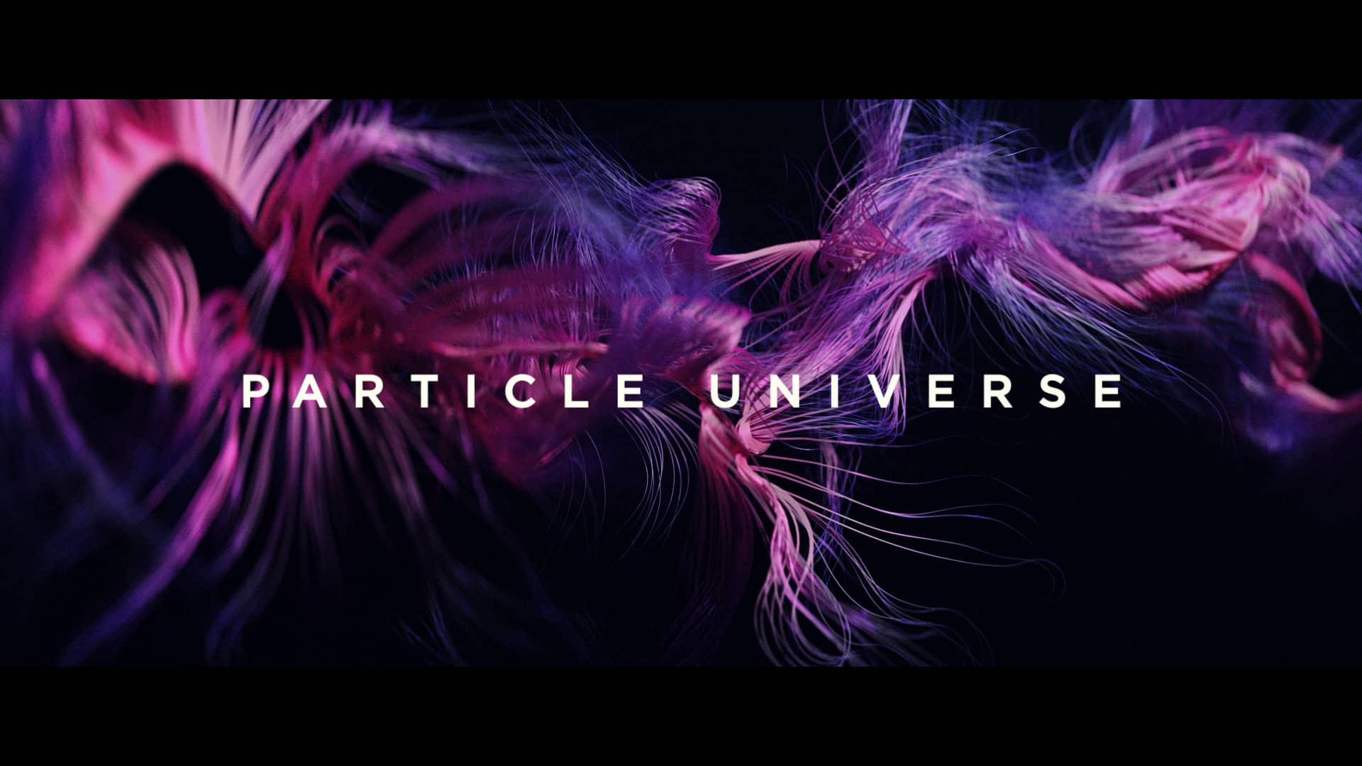 Particle Universe on Vimeo
