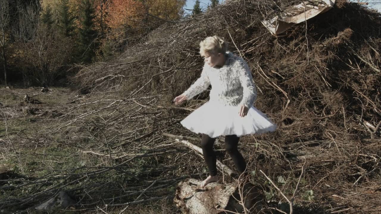 TEASER Into the Roots on Vimeo