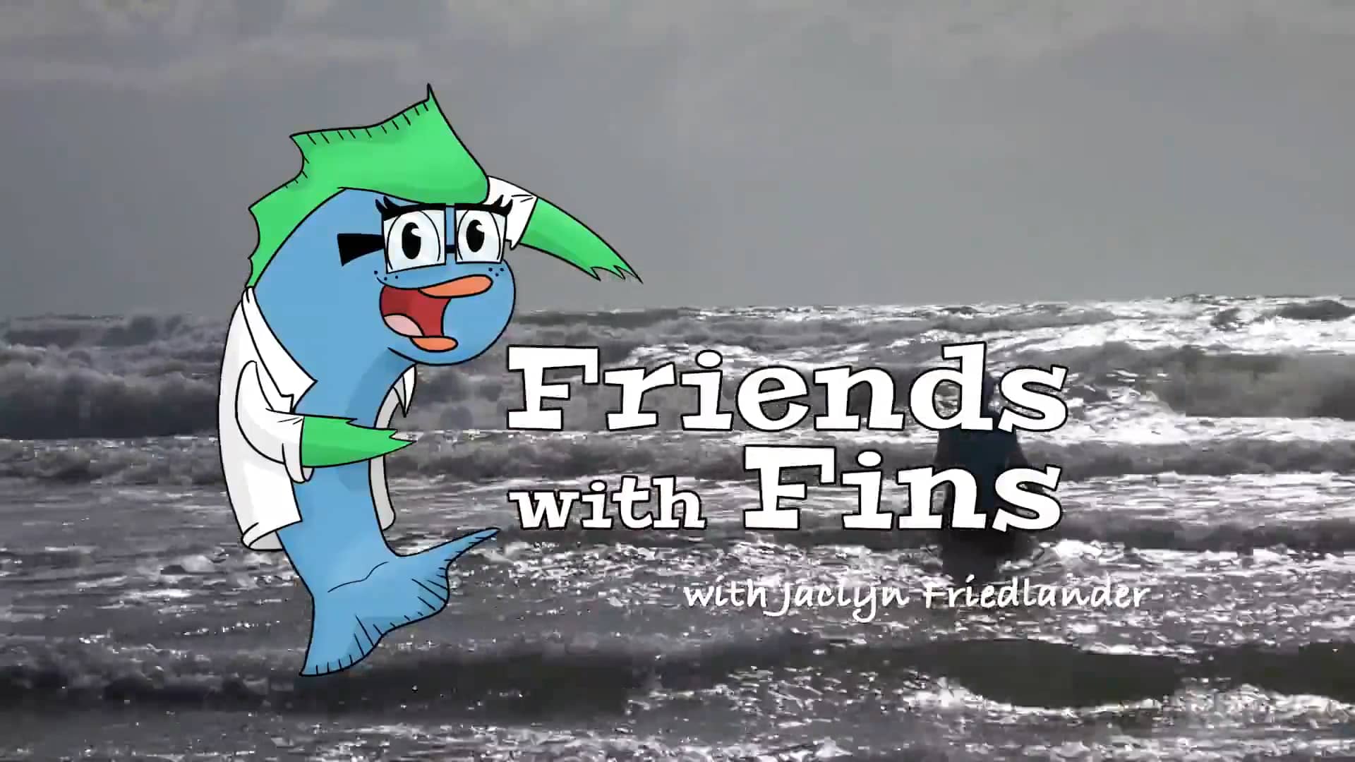 Friends with Fins Trailer on Vimeo