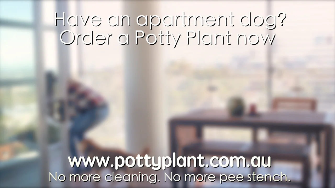 Potty Plant on Vimeo