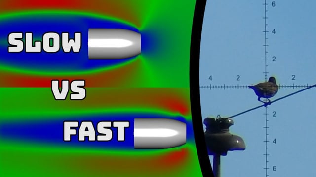 AAR On Air - Andy's Airgun Reviews - Slow VS Fast Slugs - Hunting ...