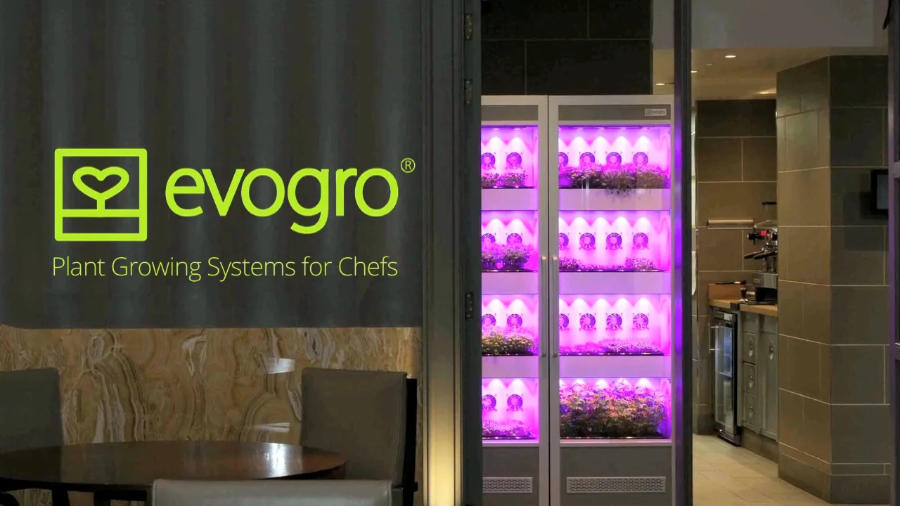 Chefs talk about Evogro on Vimeo