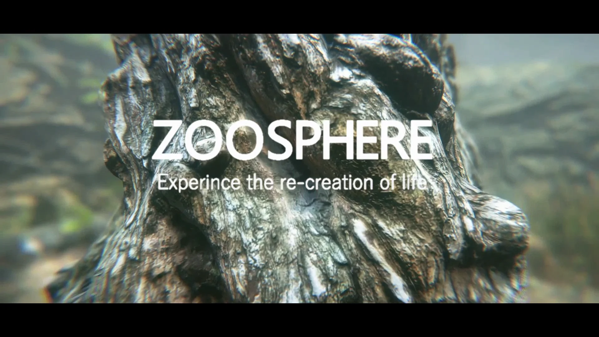 Zoo Sphere VR on Vimeo