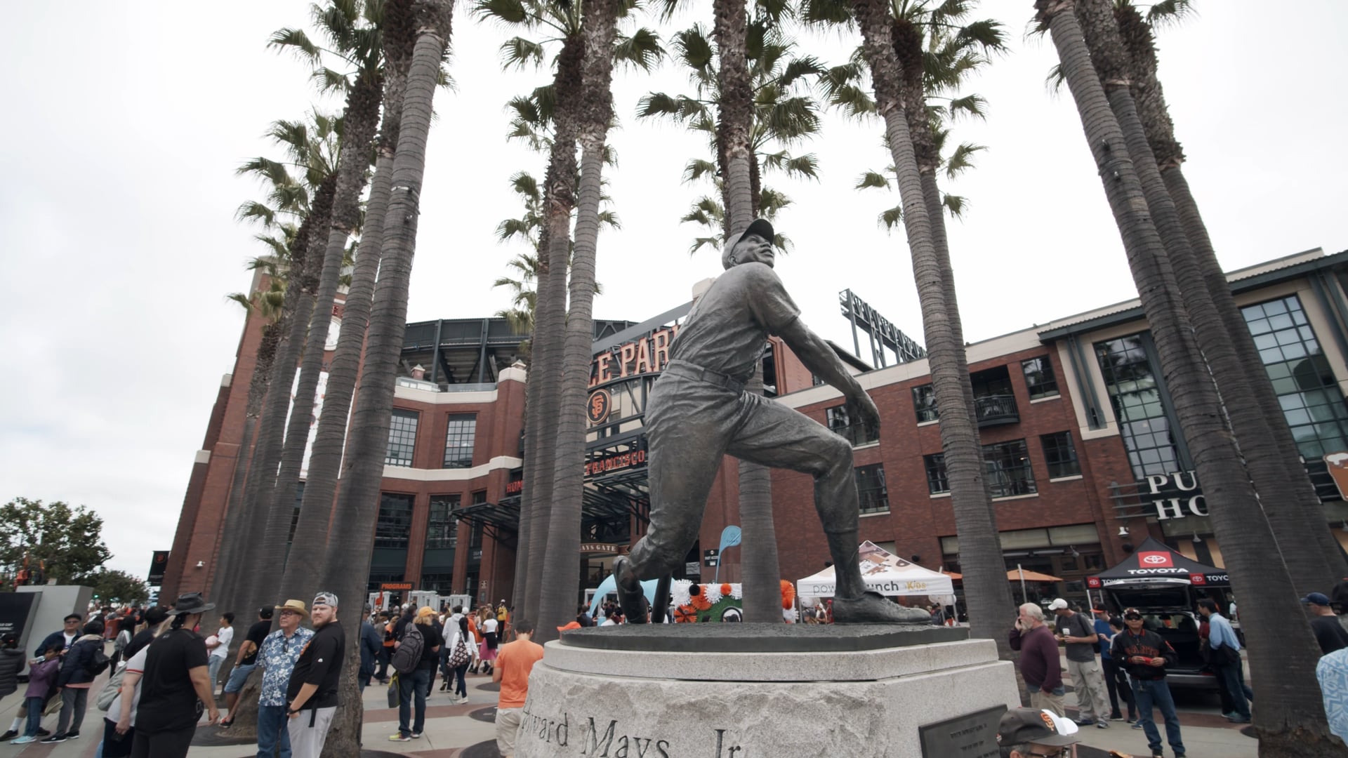 Gareth Stack - Writer and Filmmaker