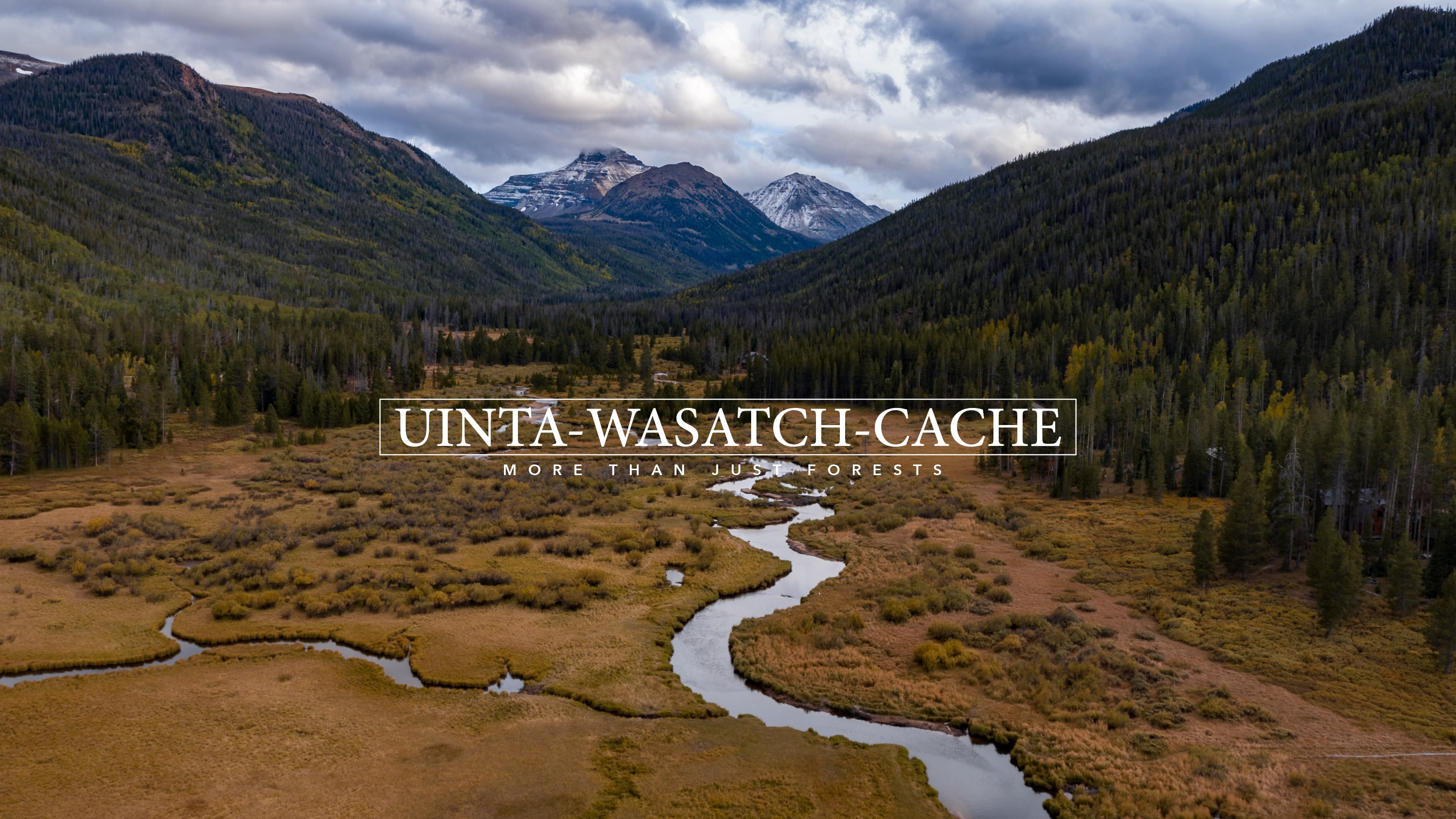 More Than Just Forests | Uinta-Wasatch-Cache on Vimeo