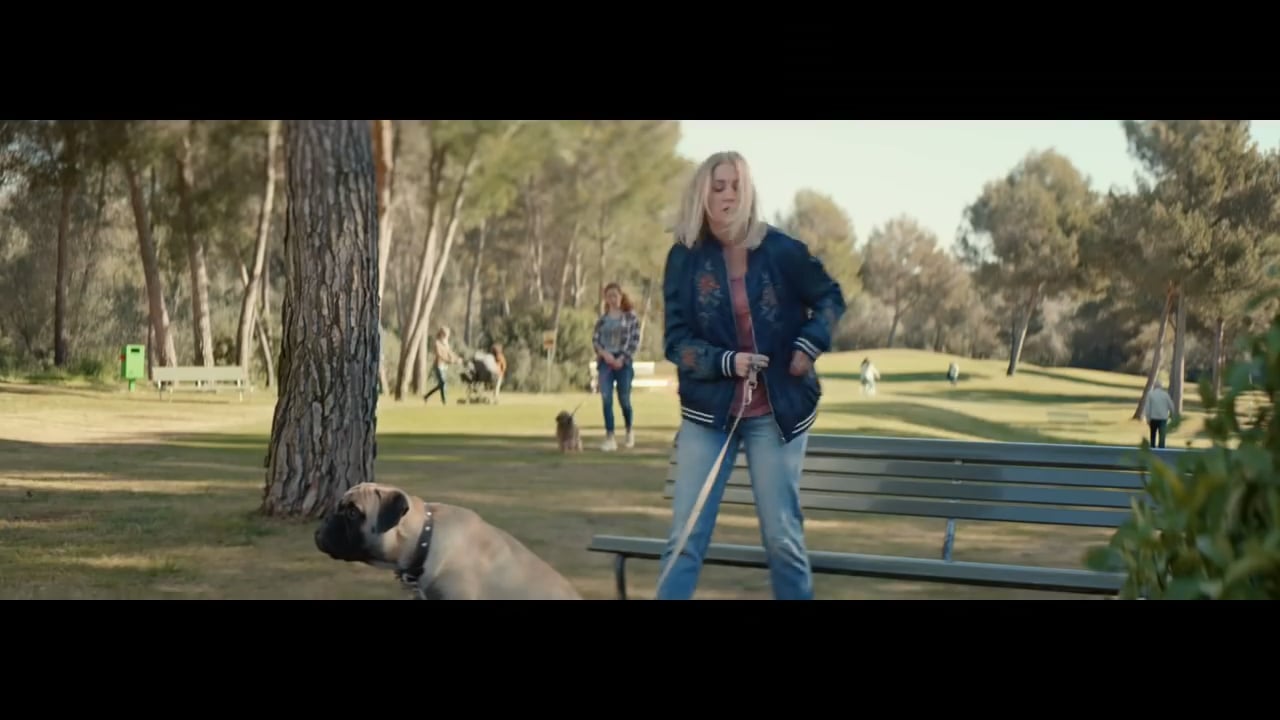 Dog on Vimeo