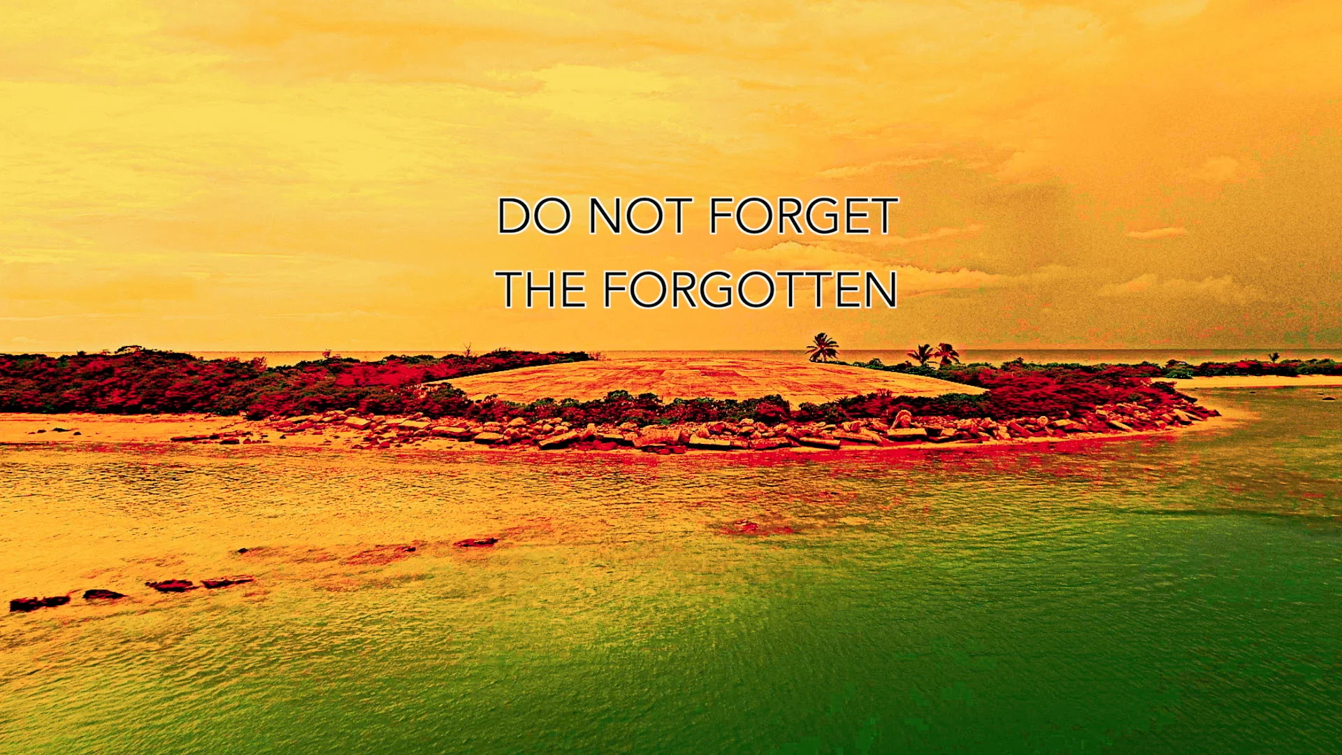 LOJWA ANIMALS: DO NOT FORGET THE FORGOTTEN