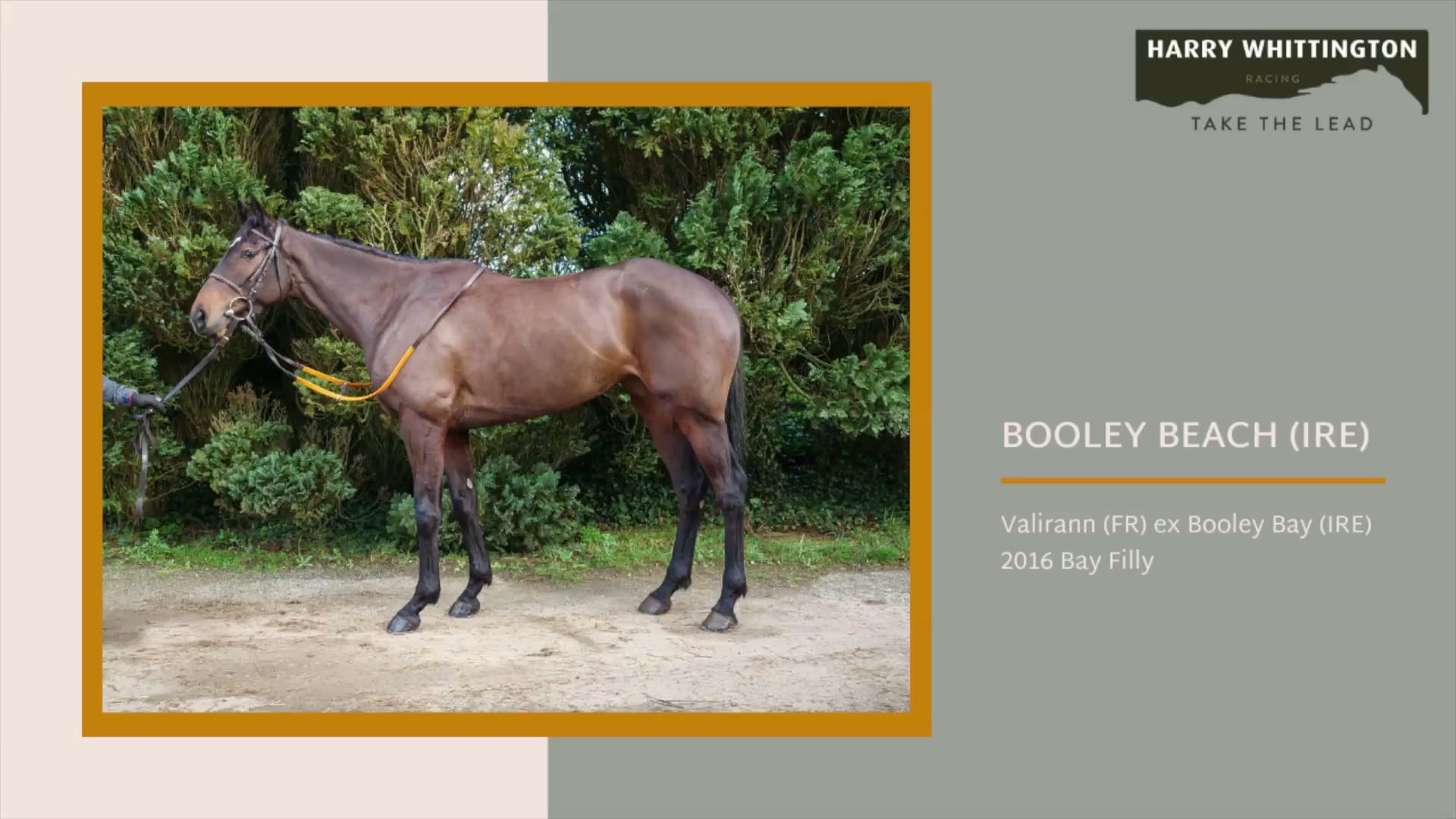 Booley Beach on Vimeo