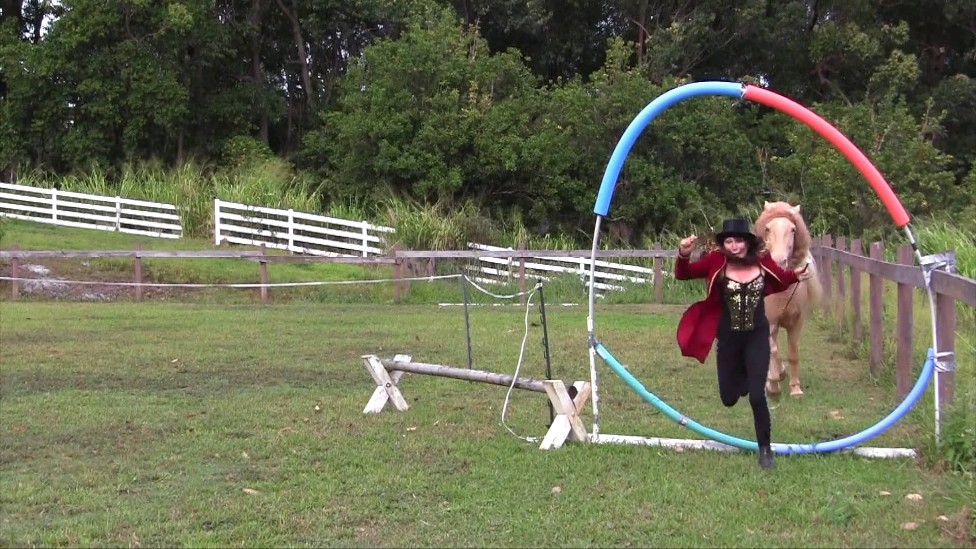 Lion Fabio Chases Ringmaster on Vimeo
