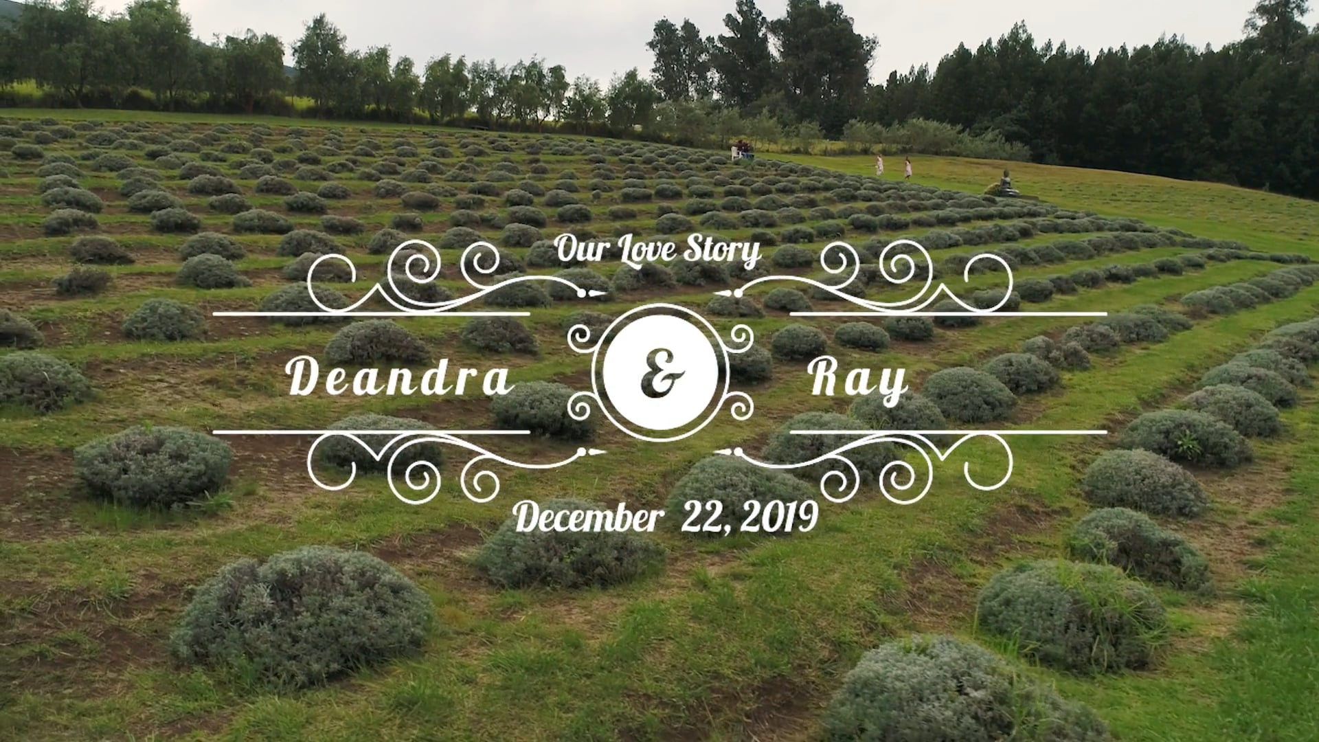 Deandra & Ray on Vimeo