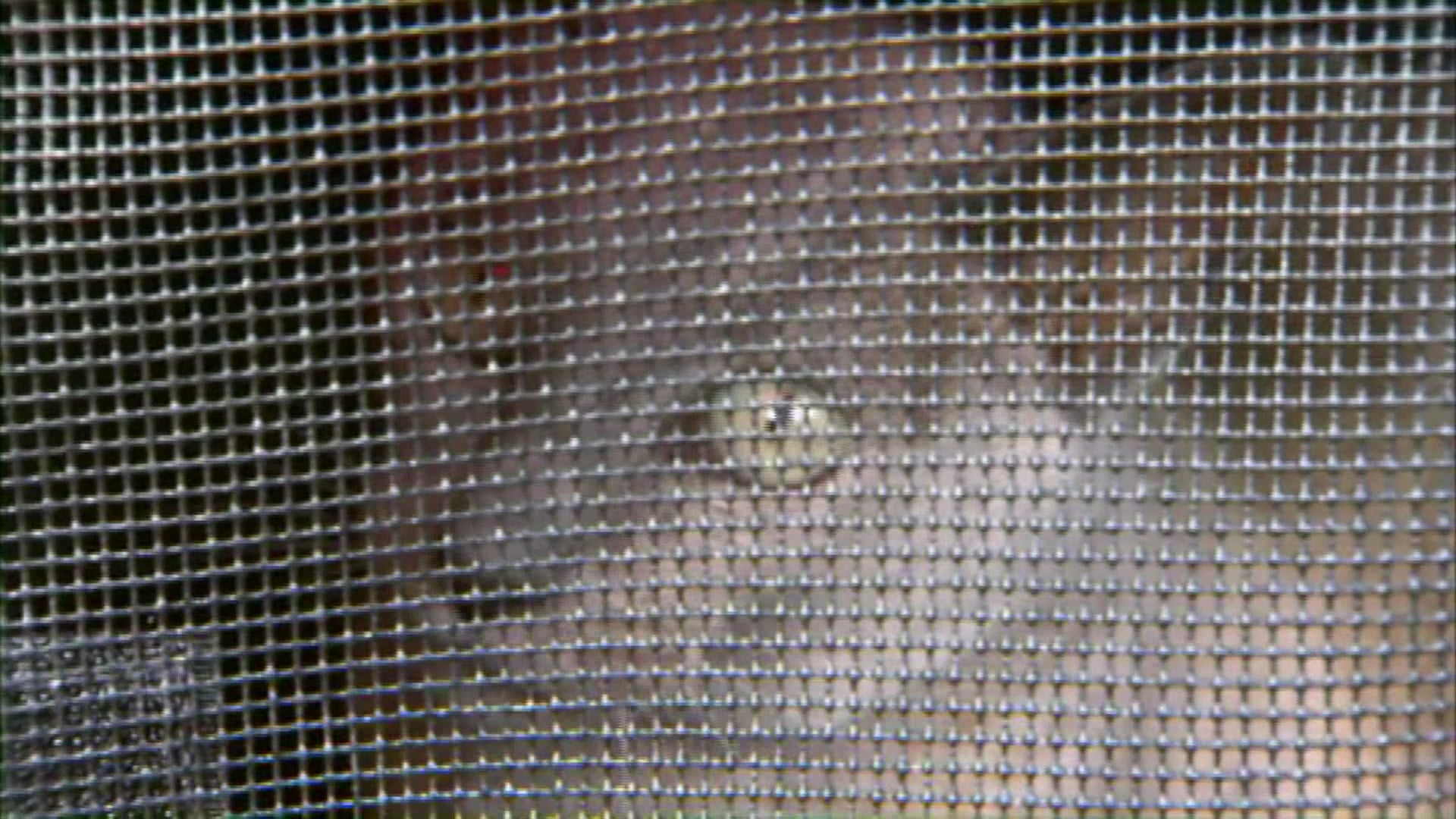 SE Web AR Chch on Vimeo