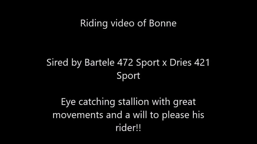 Riding video of Bonne sired by Bartele 472 Sport x Dries 421 Sport on Vimeo