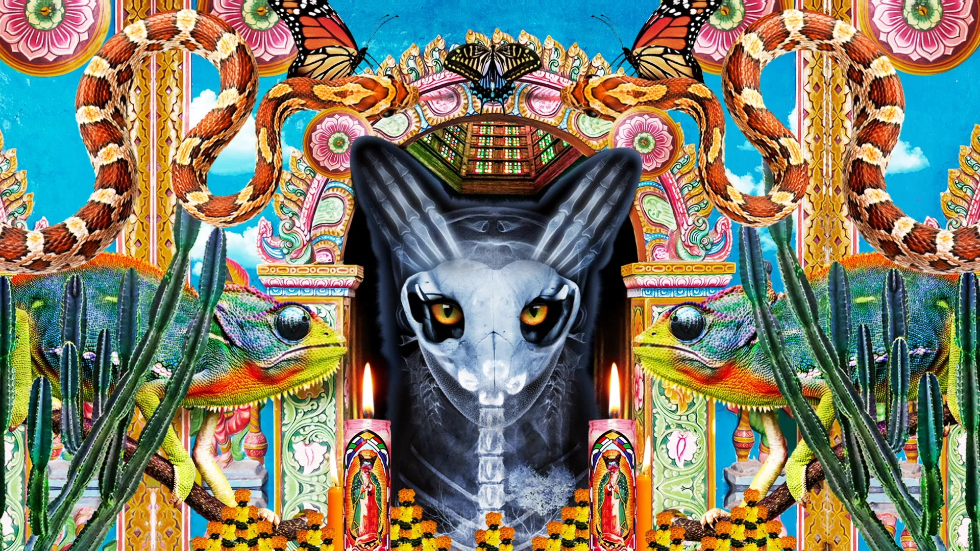 Galantis: Church of Galantis on Vimeo