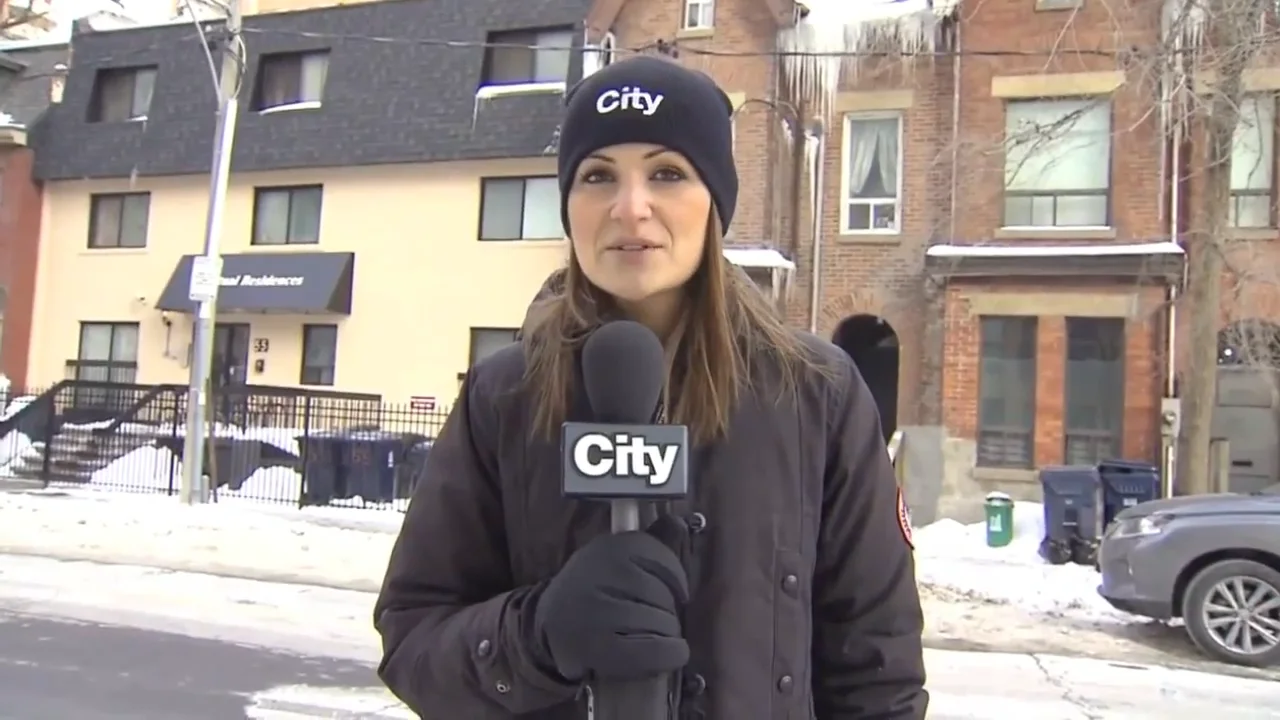 Neinstein - Neinstein's Daniel Michaelson speaks about icicle liability ...