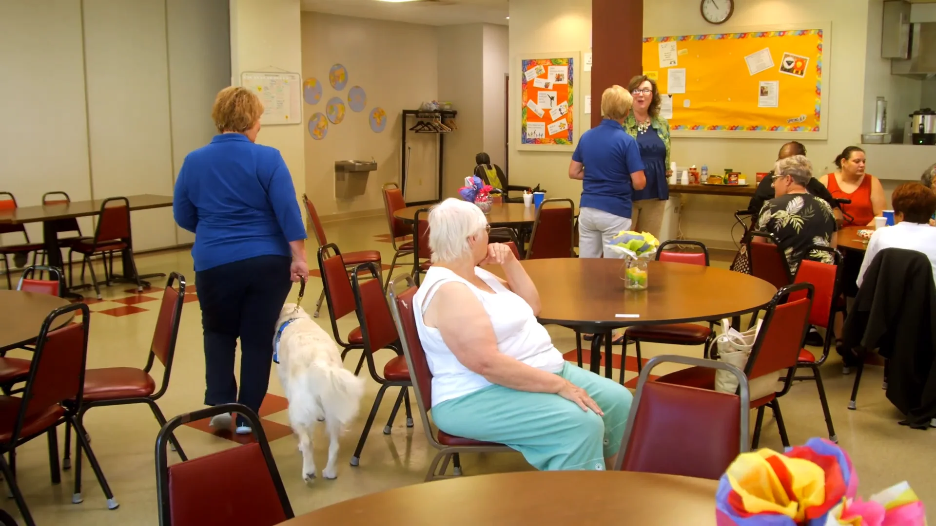 Jared The Comfort Dog on Vimeo