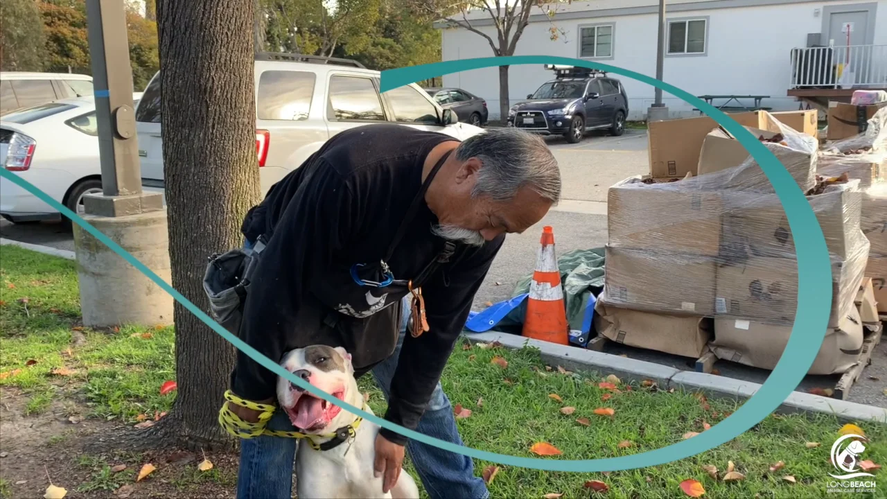 LBACS Branding Campaign 2020 on Vimeo