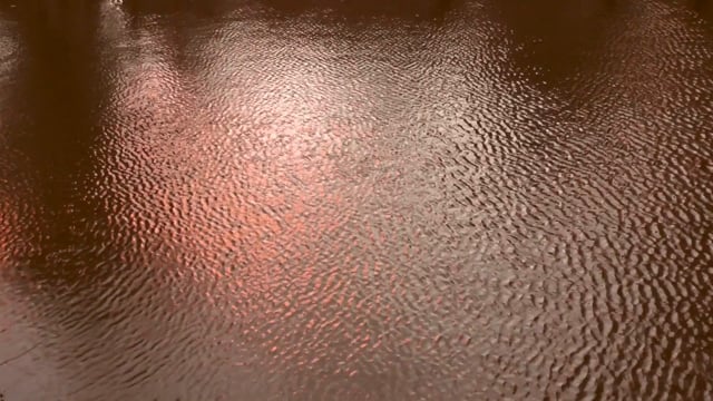 100+ Free Water Ripples & Water Videos, HD & 4K Clips - Pixabay