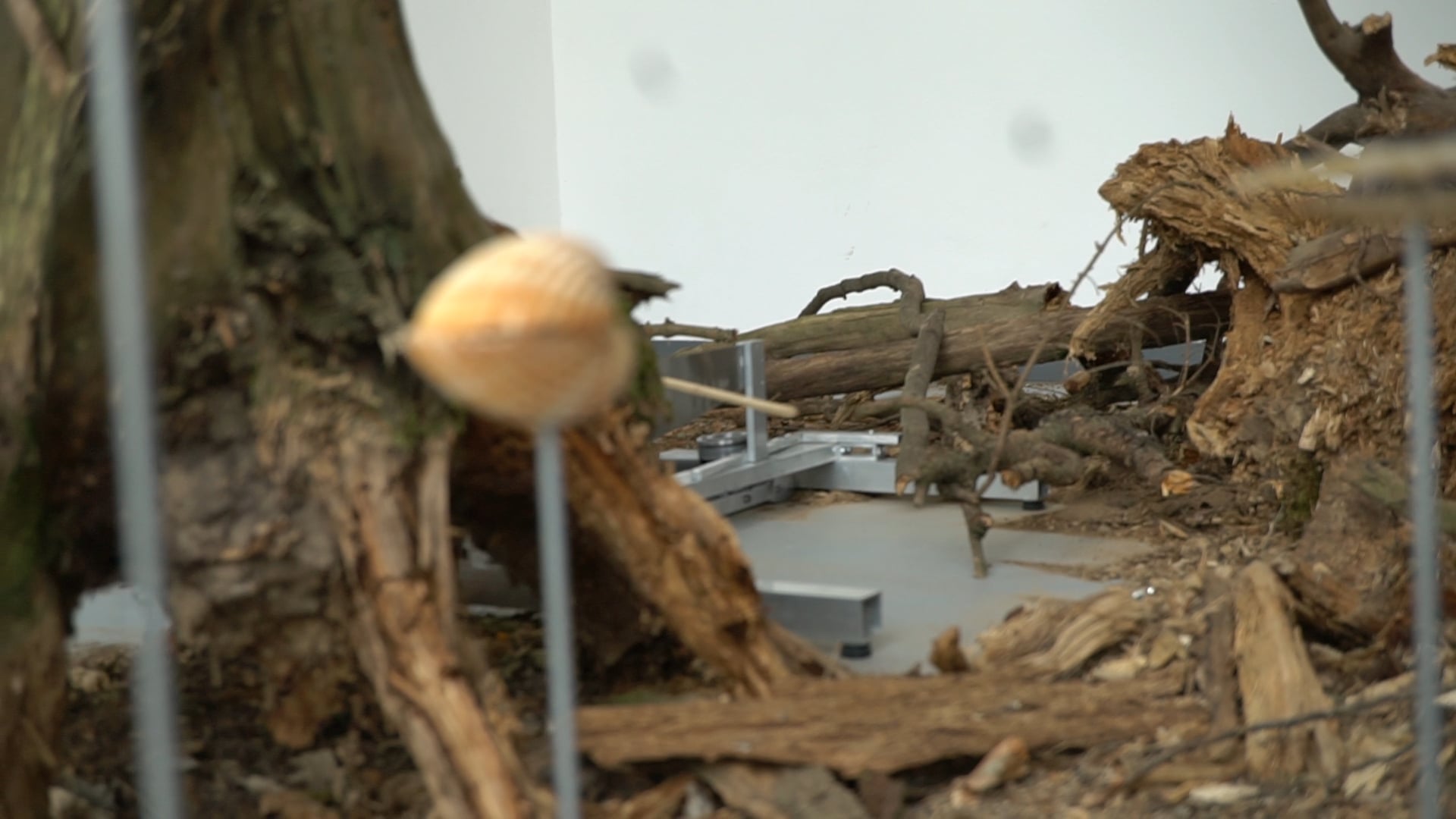 05_clapping_clams_video on Vimeo