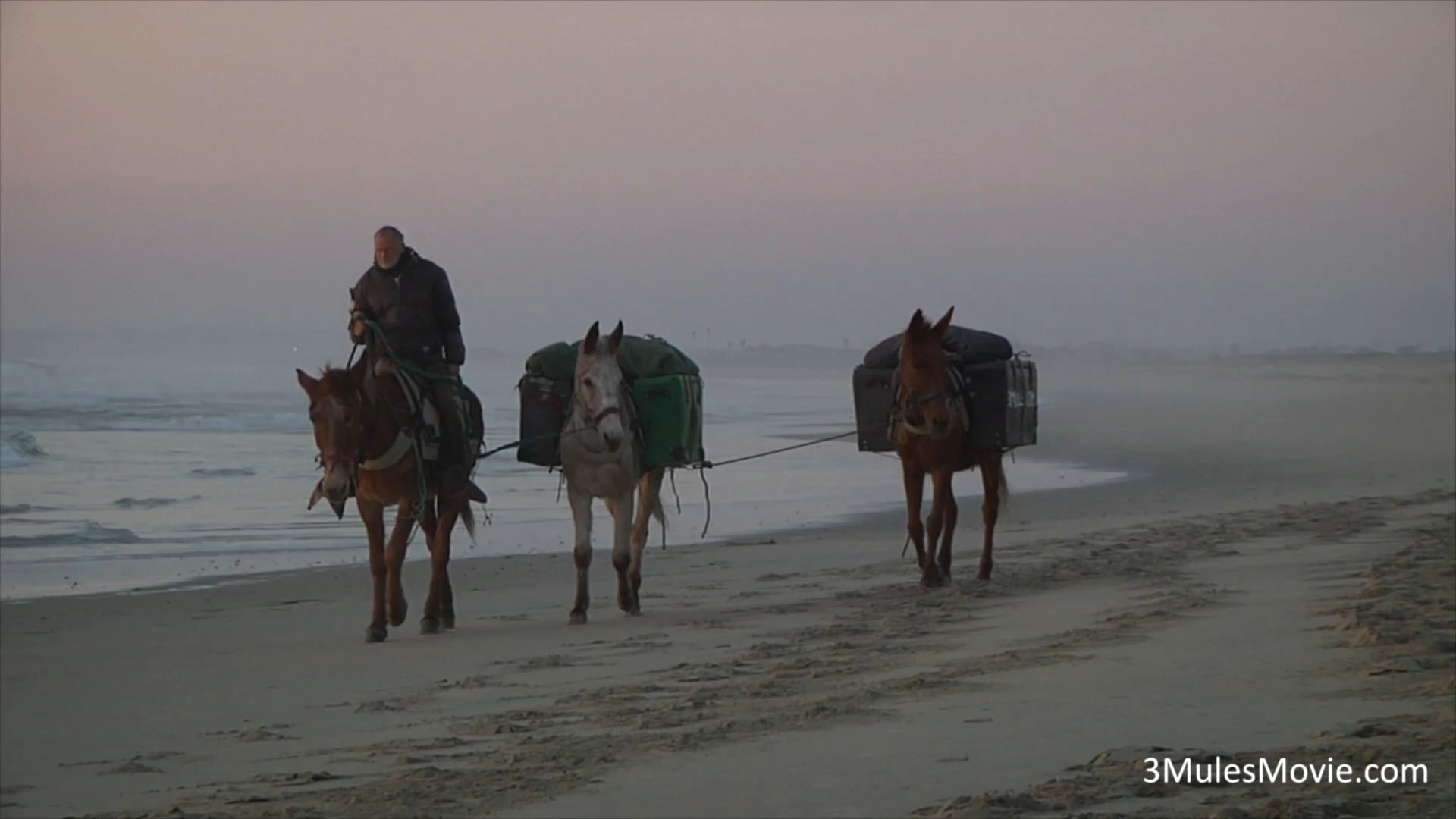 CALL ME MULE Trailer on Vimeo